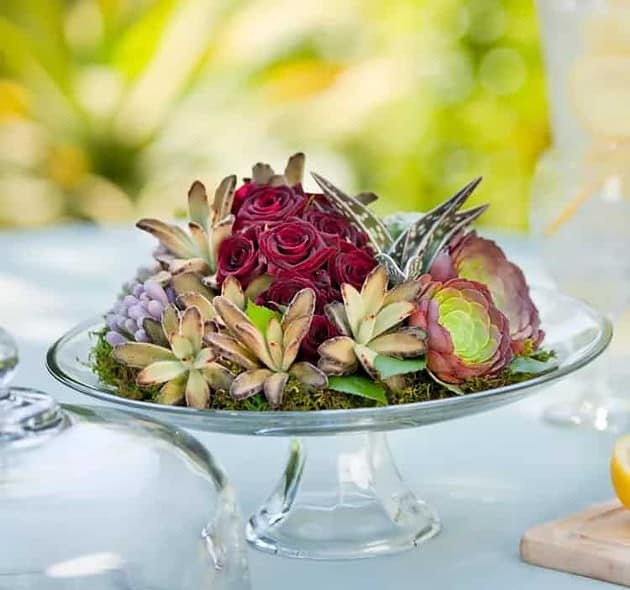 15 Creative DIY Garden Projects to Blossom Your Spring