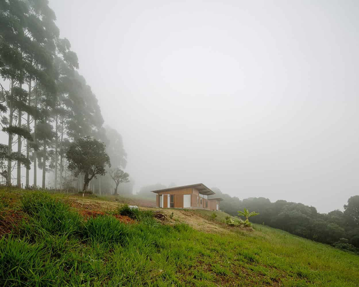 Patio Guaparuvuru House by Estudio Piloti Arquitetura in Camanducaia ...