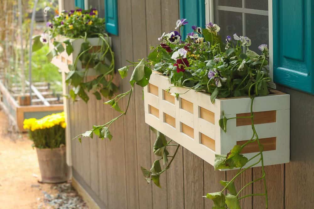 15 Charming DIY Window Flower Box Designs for Gardening